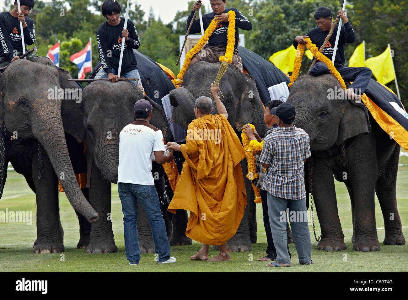 Monk blessing elephants hi-res stock photography and images - Alamy