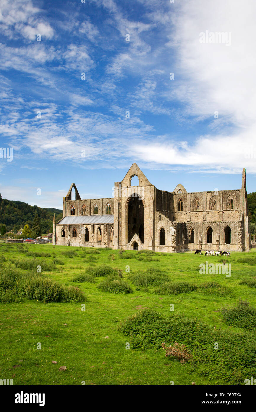 Tintern Abbey Monmouthshire Wales Stock Photo - Alamy
