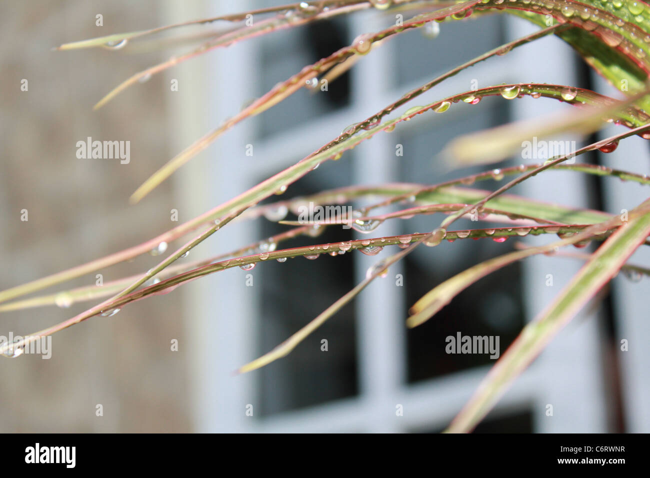 Hujan hi-res stock photography and images - Alamy