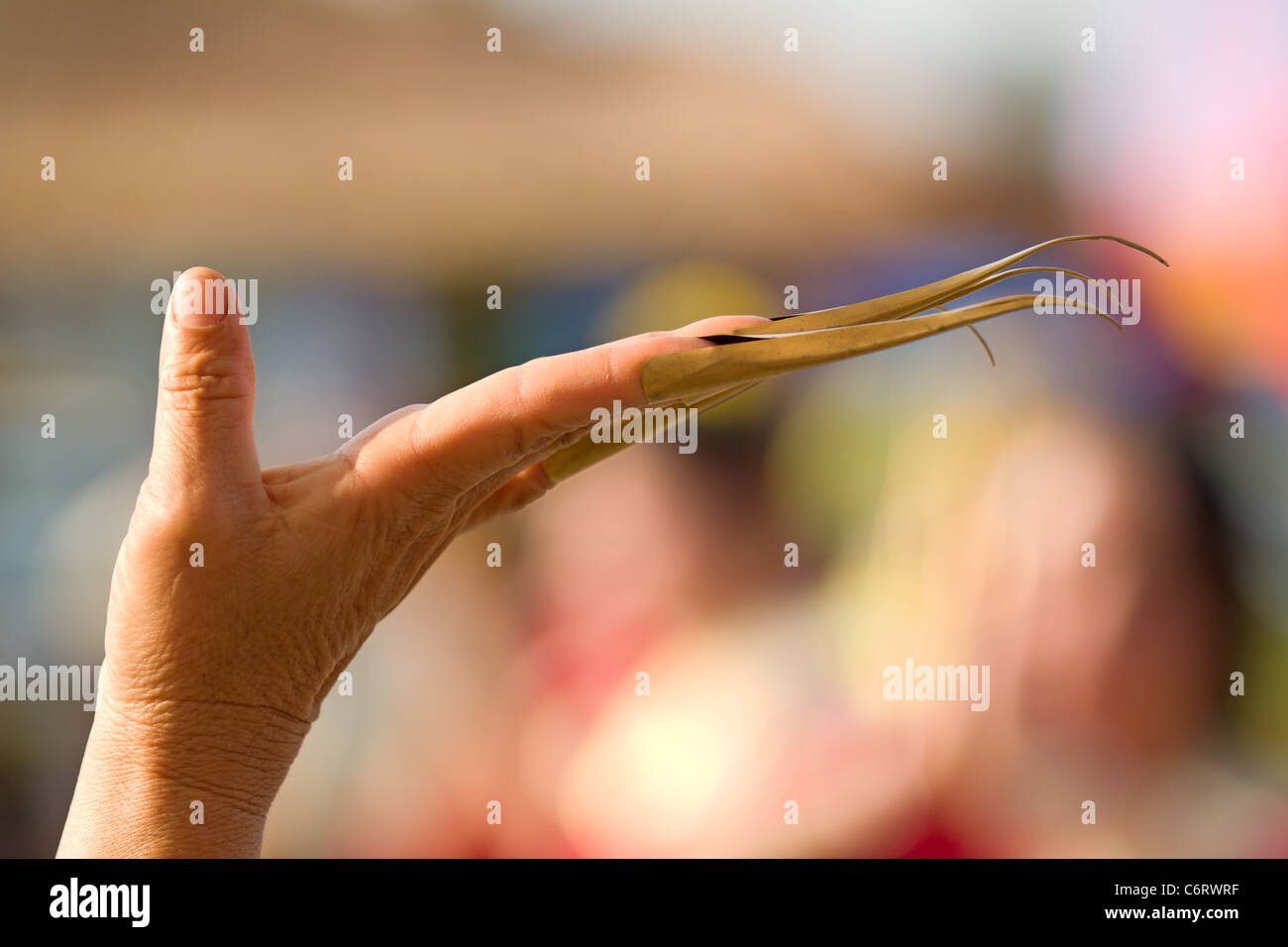 Fawn Thai Dance High Resolution Stock Photography and Images - Alamy