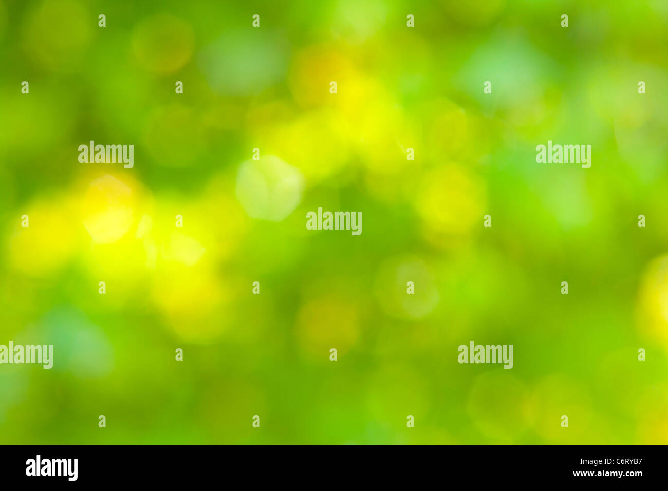 Soft lighting effect hi-res stock photography and images - Alamy