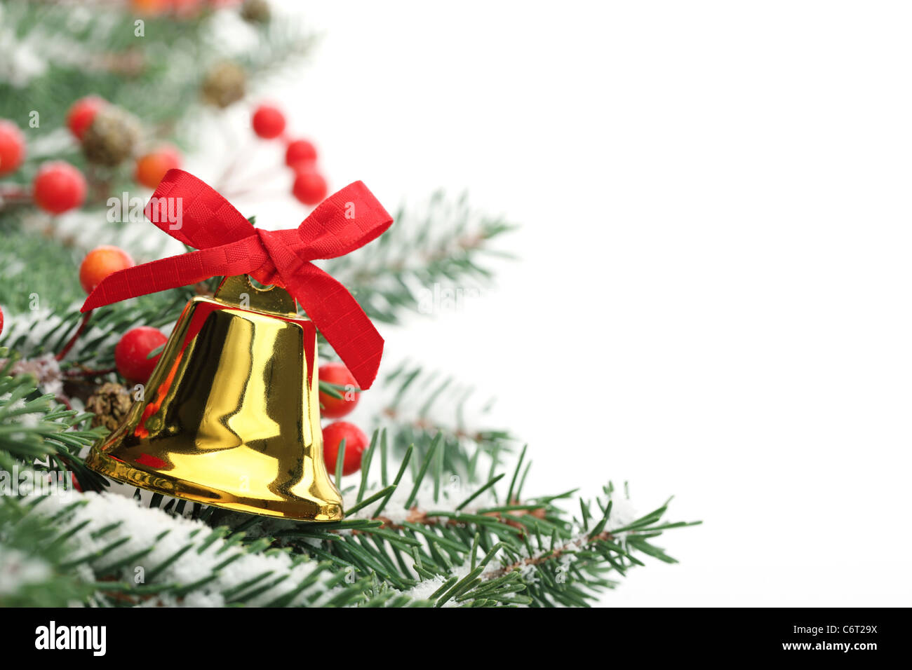 Golden bell tree hi-res stock photography and images - Alamy