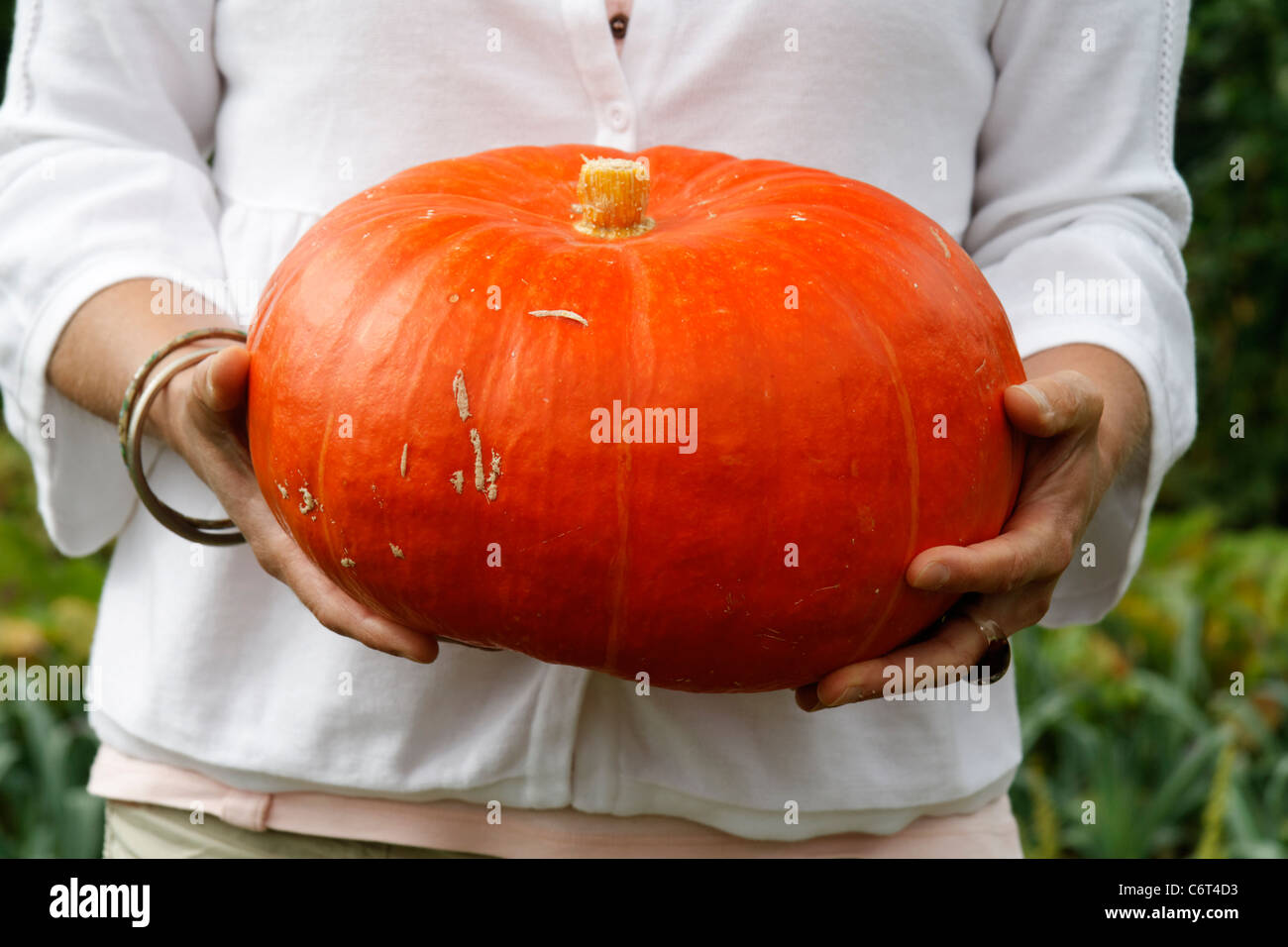 Hands holding a pumpkin hi-res stock photography and images - Alamy