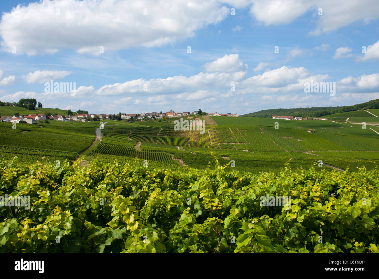 Champaign region hi-res stock photography and images - Alamy