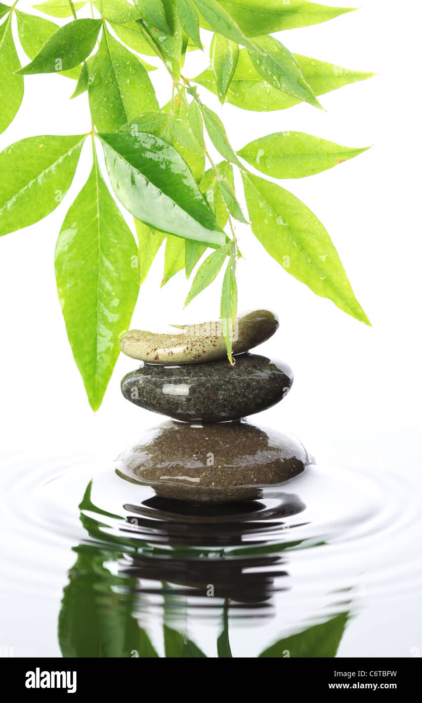 Wet spa stones leaves hi-res stock photography and images - Alamy