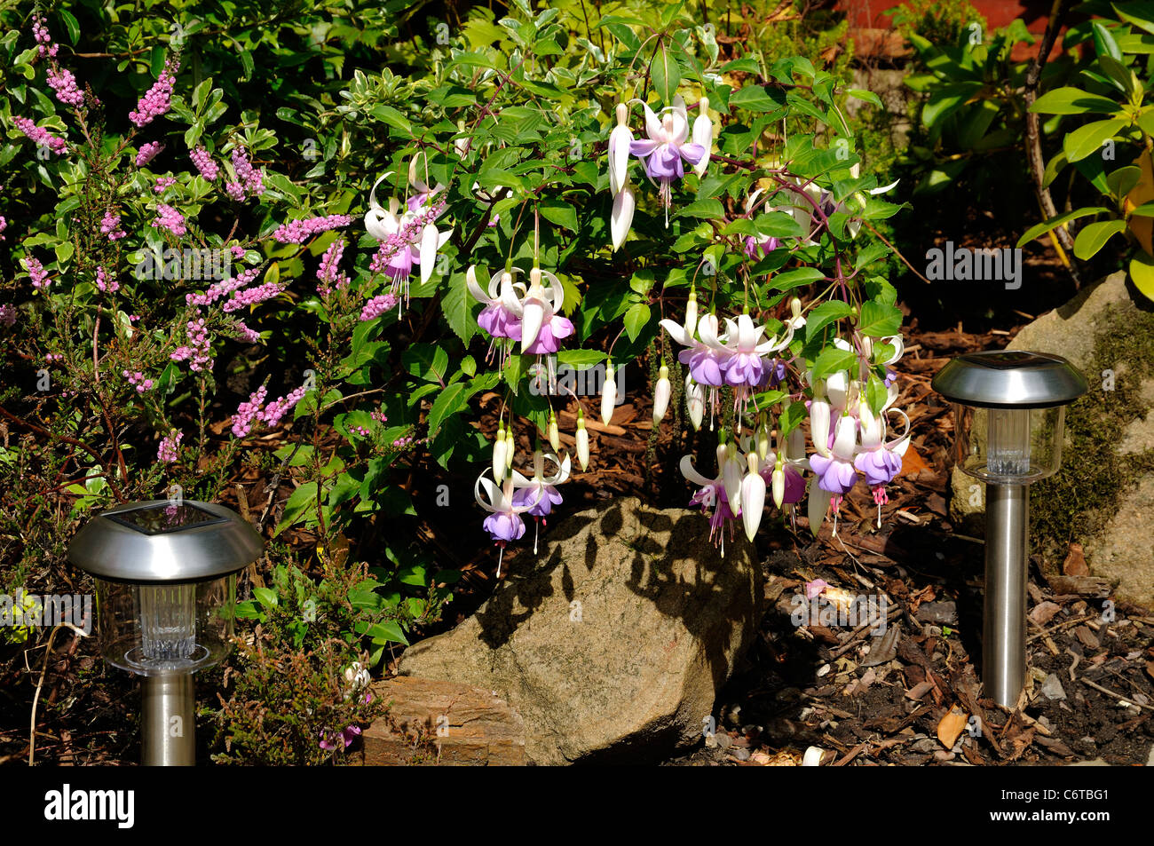 section of garden border Stock Photo - Alamy