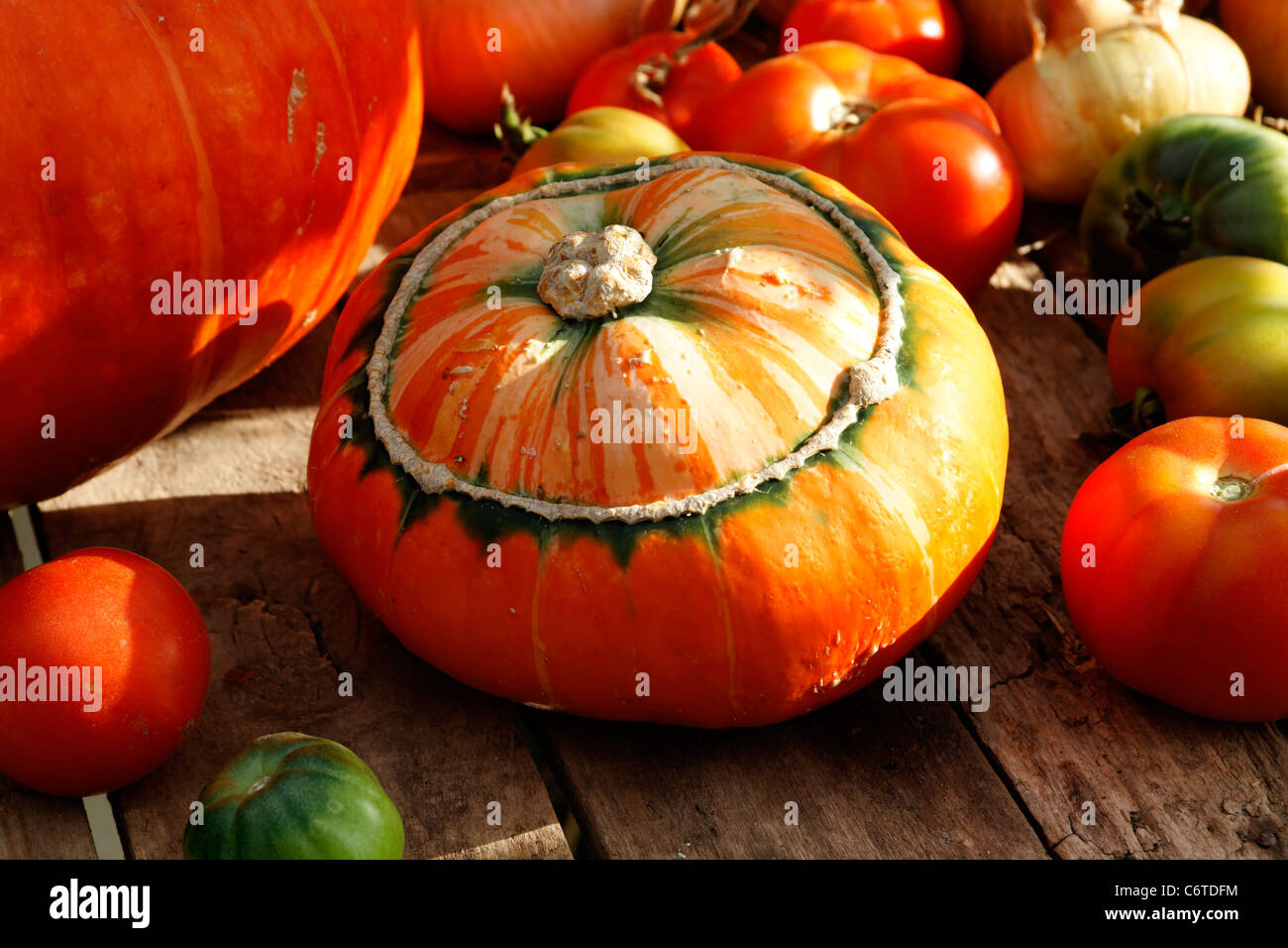 Giraumon Cucurbita Maxima High Resolution Stock Photography and Images ...