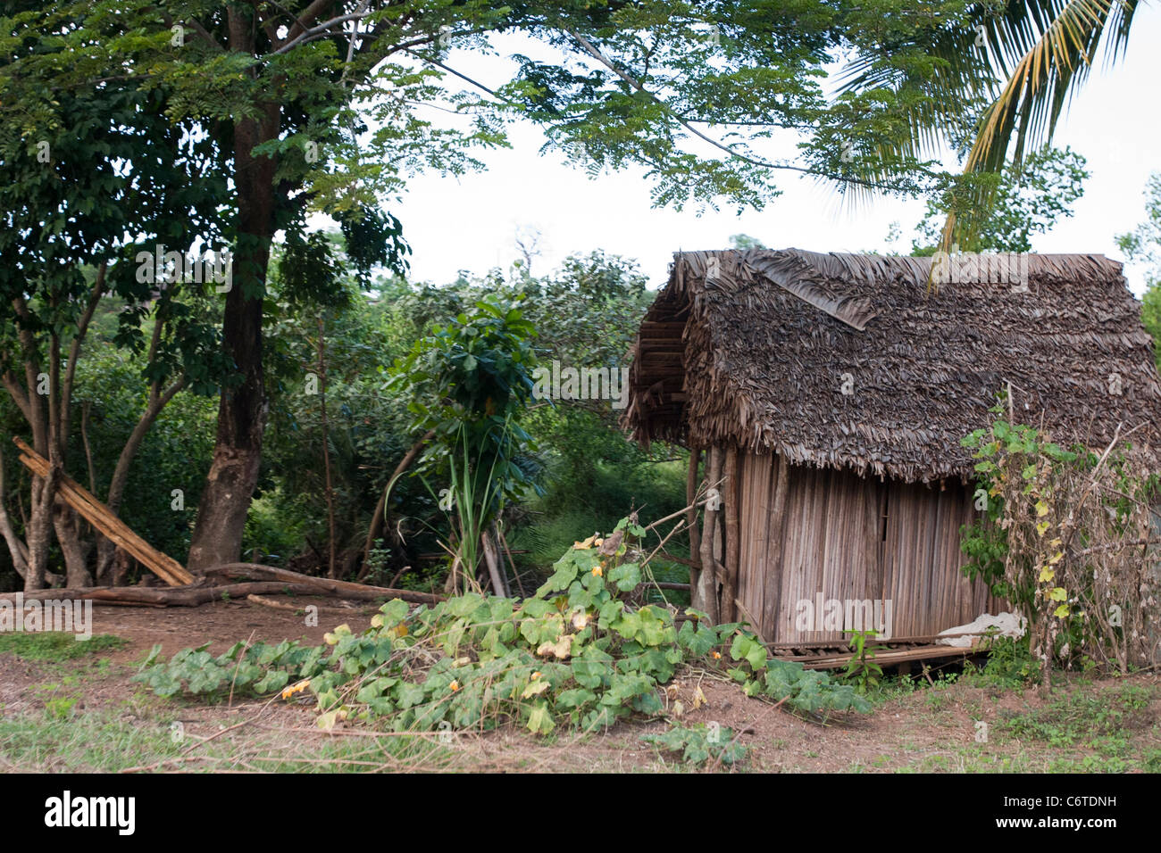 Country hut house Madagascar, Nosy Be island, geography Africa Stock ...