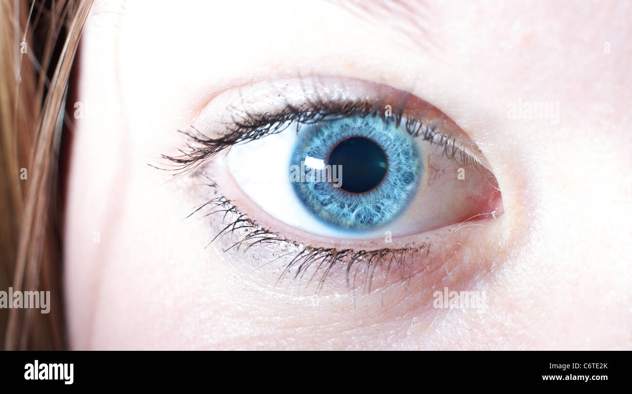 Blue maniac hi-res stock photography and images - Alamy