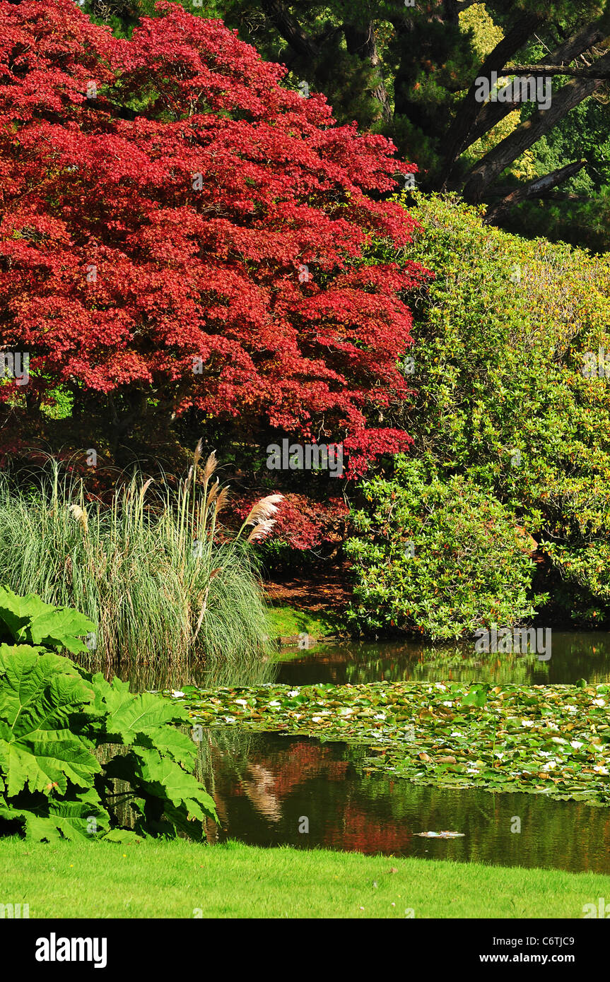 Colourful greenery High Resolution Stock Photography and Images - Alamy
