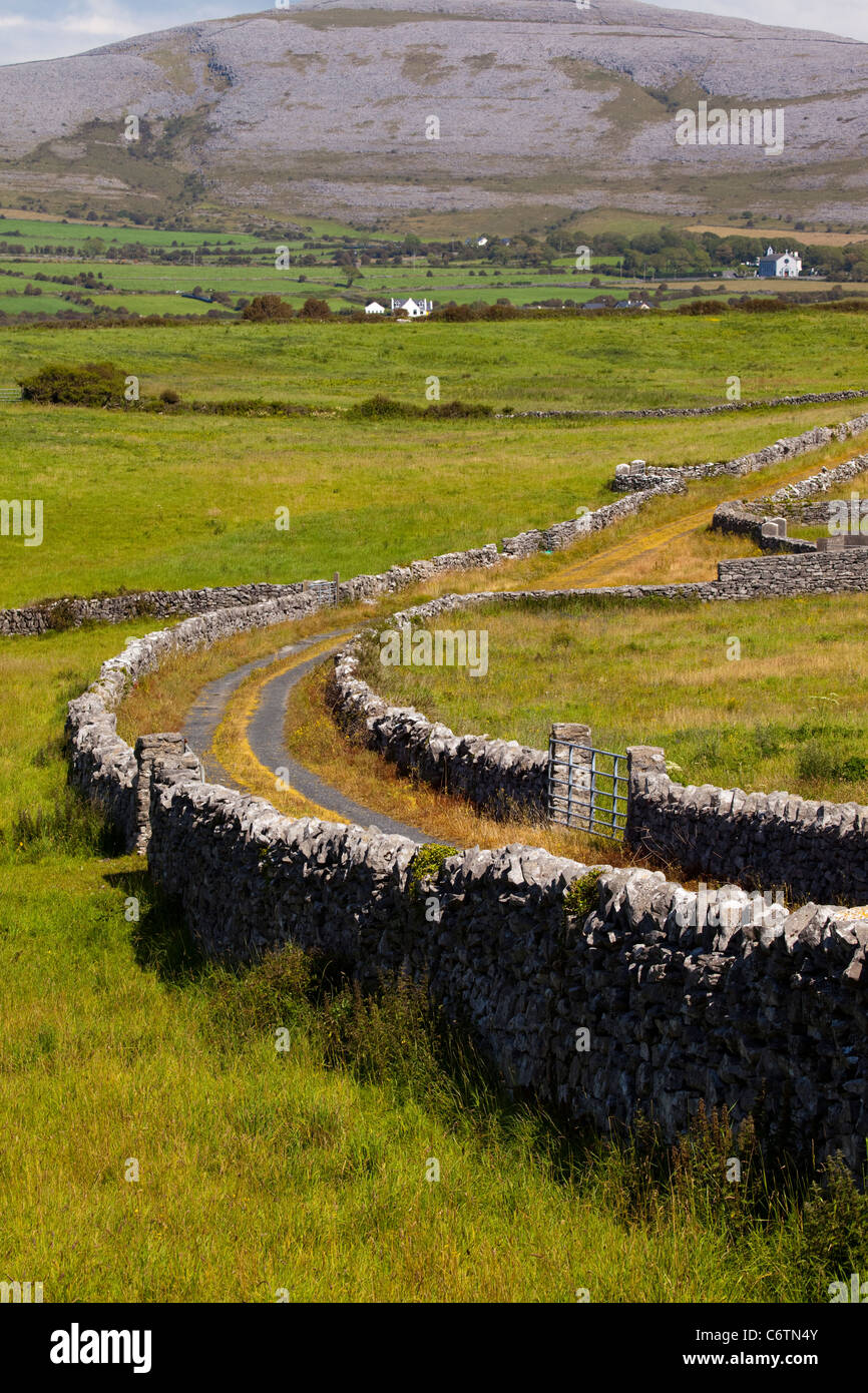 A dry stone walled farm lane leading towards the limestone hills near ...