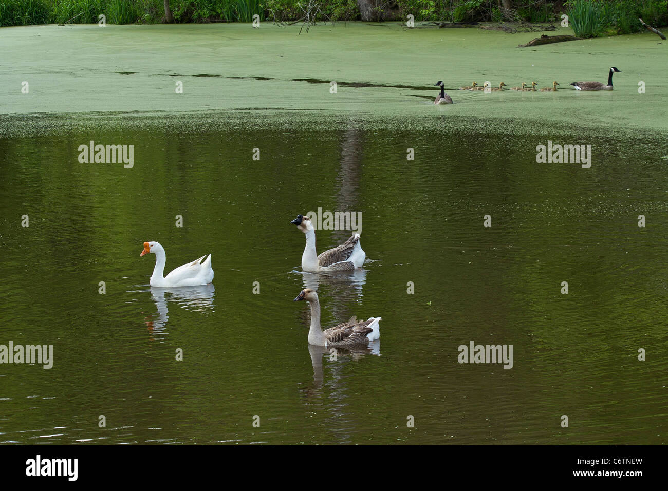 Day hi res hi-res stock photography and images - Alamy