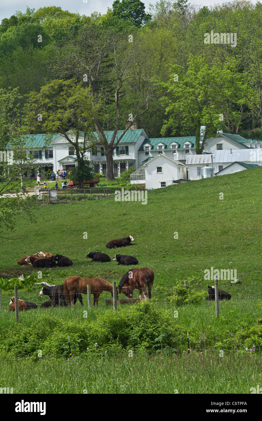 The Big House at Malabar Farm State Park with domestic animals in Ohio ...