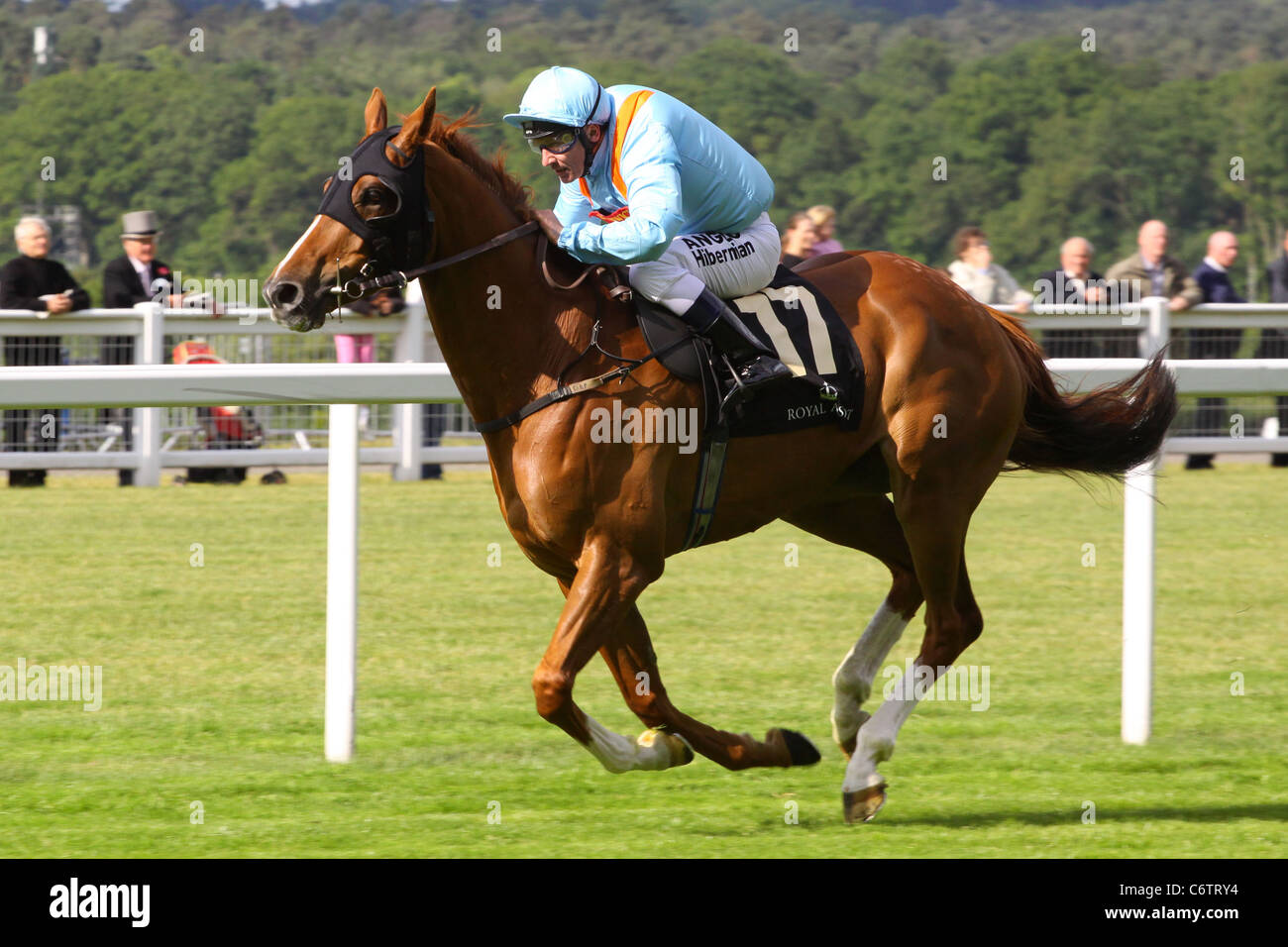 Junior and Seb Sanders winning Royal Ascot 2010 - Horseracing Meeting ...