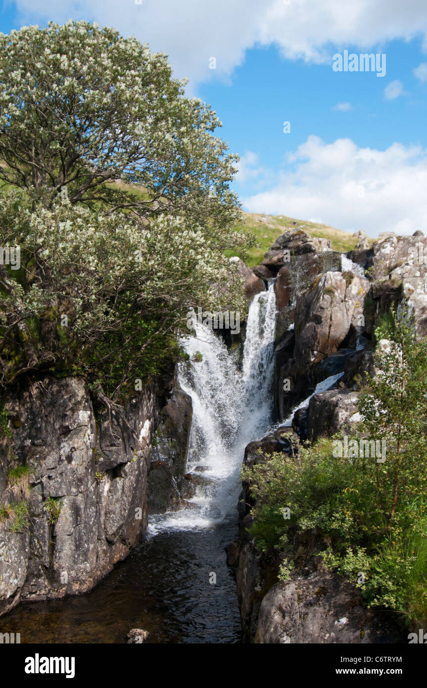 Waterfall on Talla Water burn Stock Photo - Alamy