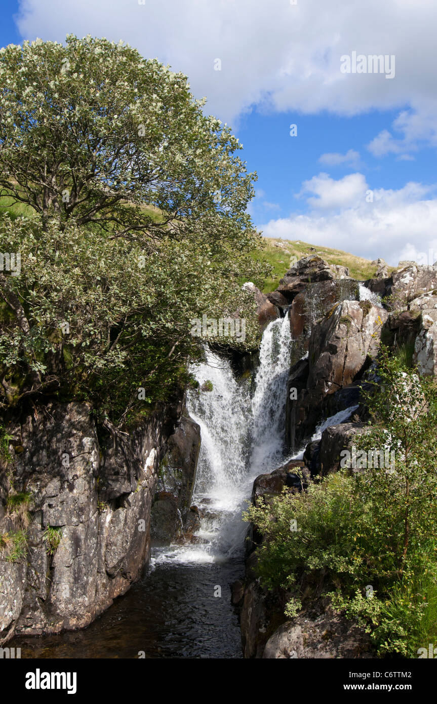 Waterfall on Talla Water burn Stock Photo - Alamy