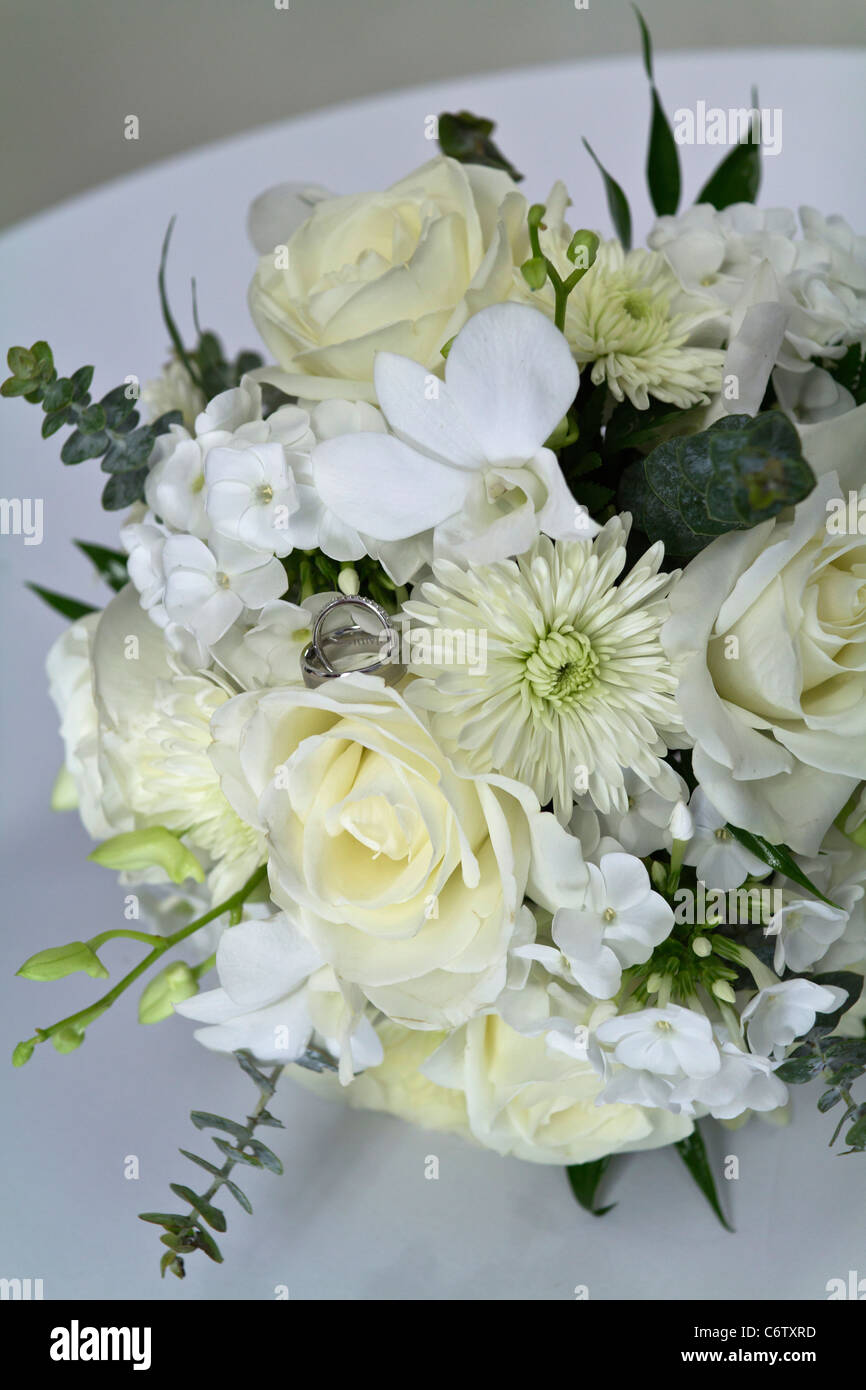 Res roses hi-res stock photography and images - Alamy