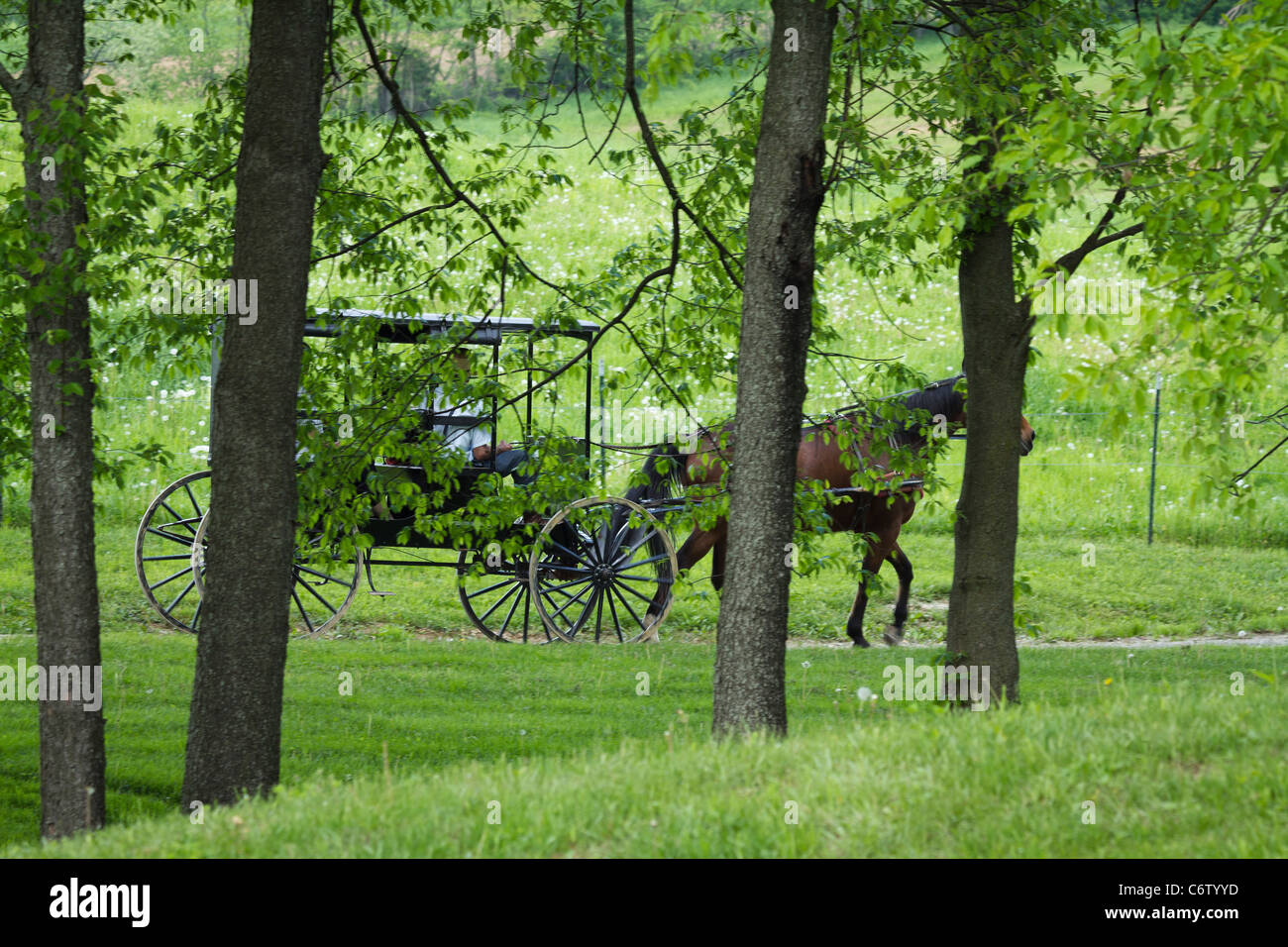 Amish horse drawn buggy wagon hi-res stock photography and images - Alamy