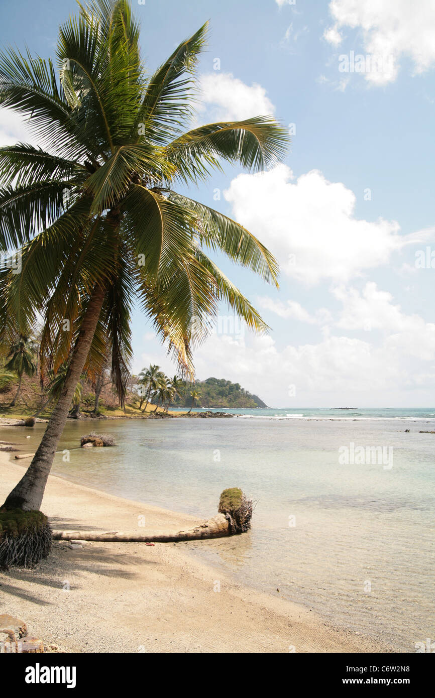 Punta Manzanillo, Colon, Panama Stock Photo - Alamy