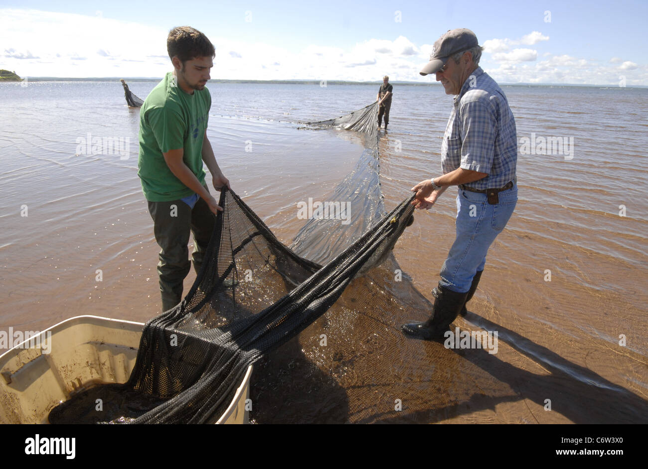 Marine sampling on the Tatamagouche Bay, Nova Scotia Stock Photo - Alamy