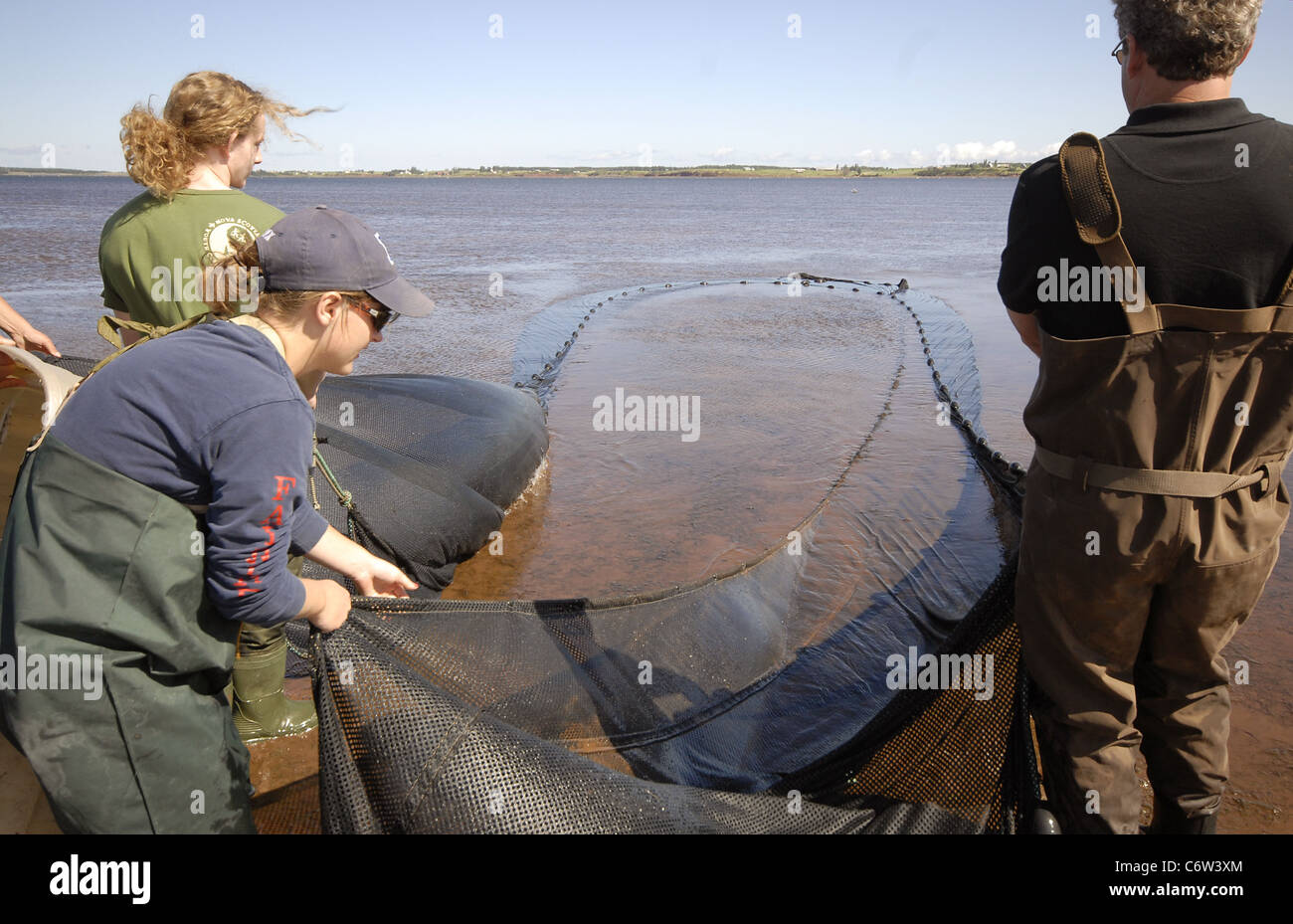 Marine sampling on the Tatamagouche Bay, Nova Scotia Stock Photo - Alamy