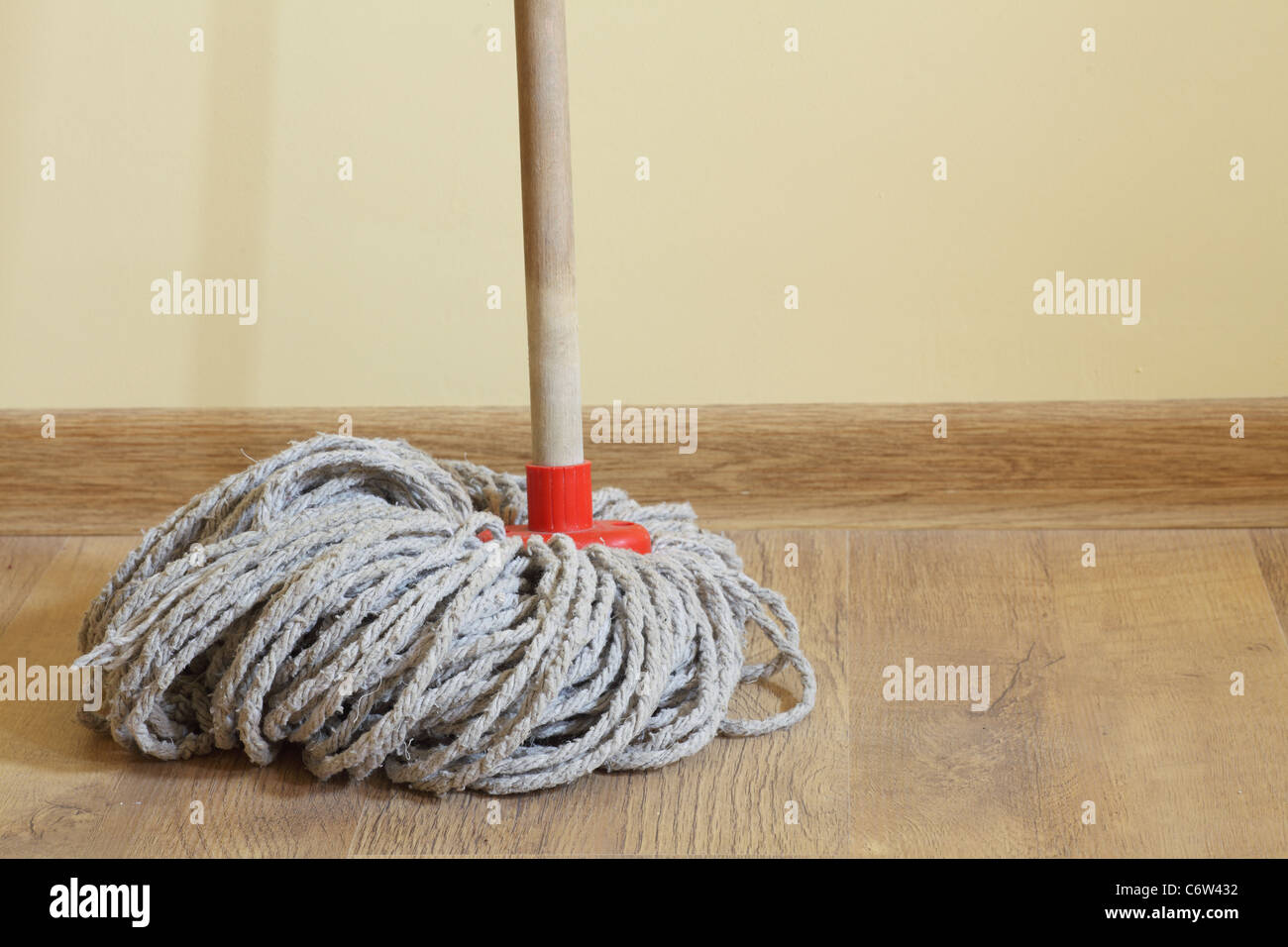 Mop High Resolution Stock Photography and Images - Alamy