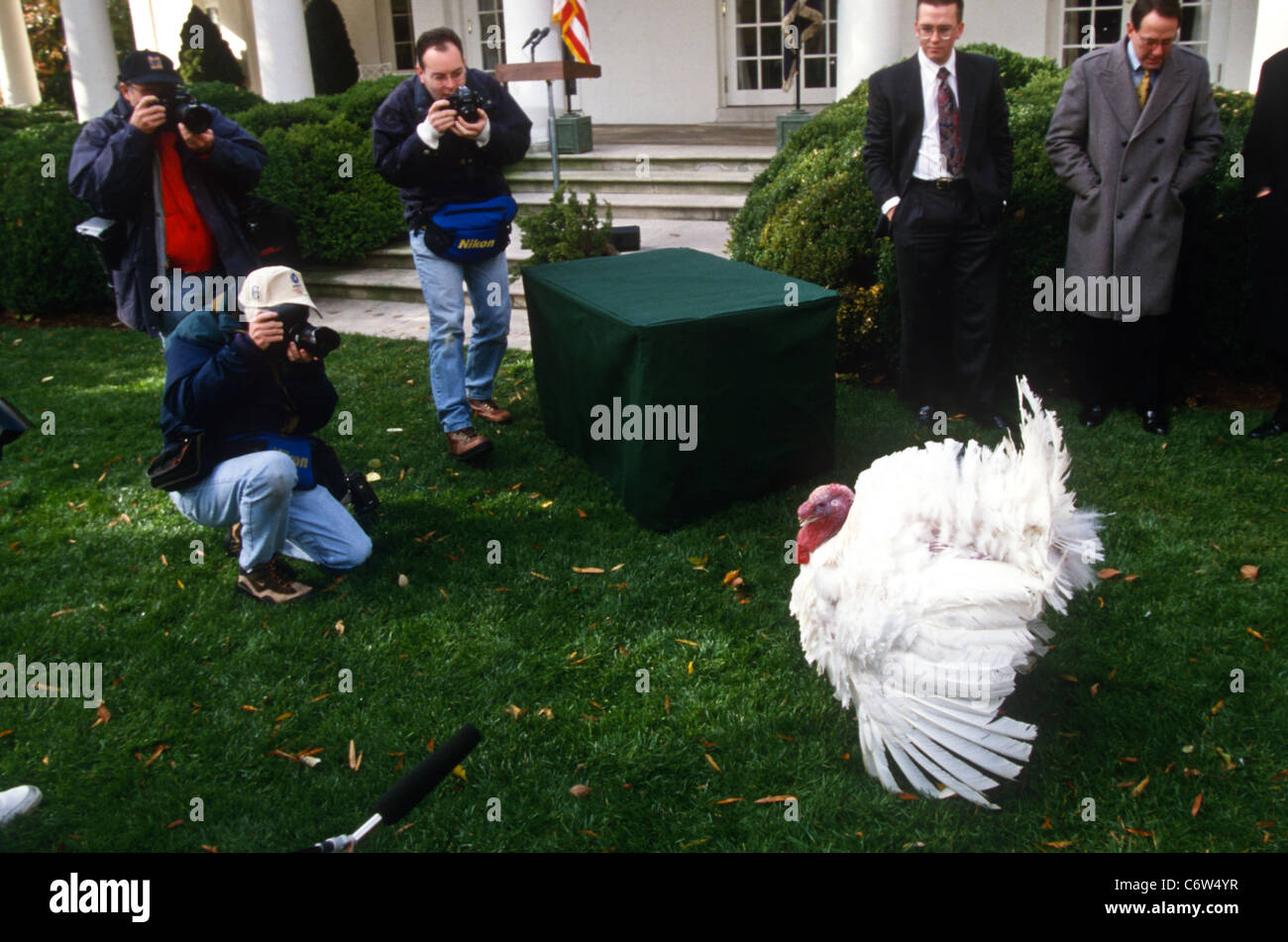 Photographers take pictures of Carl, a 35-pound turkey before the ...