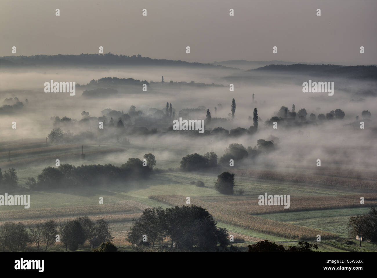 Sleepy trees hi-res stock photography and images - Alamy