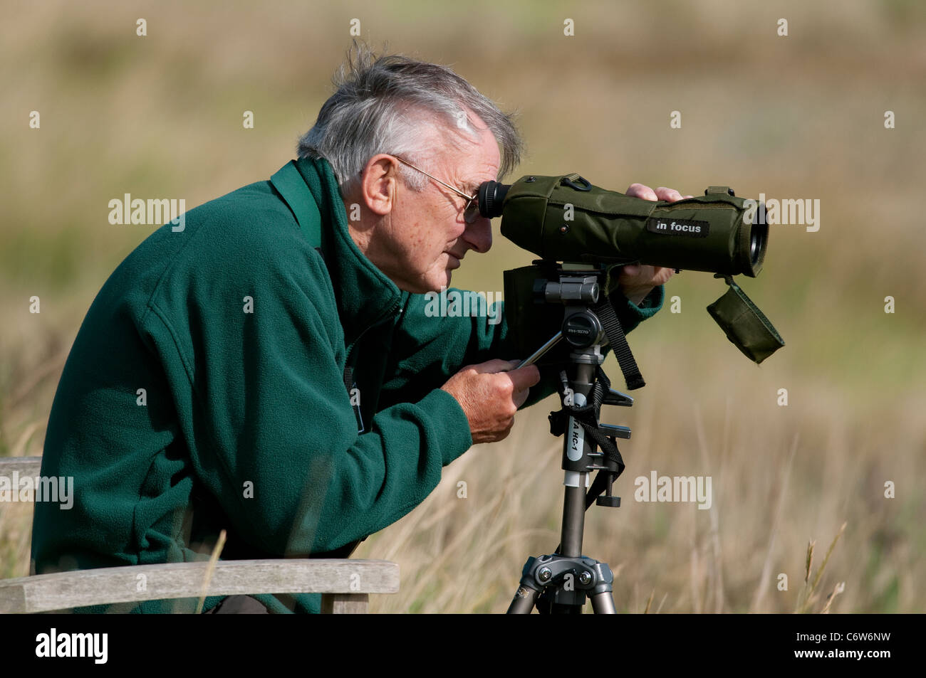 senior male birdwatcher in nature reserve Stock Photo - Alamy