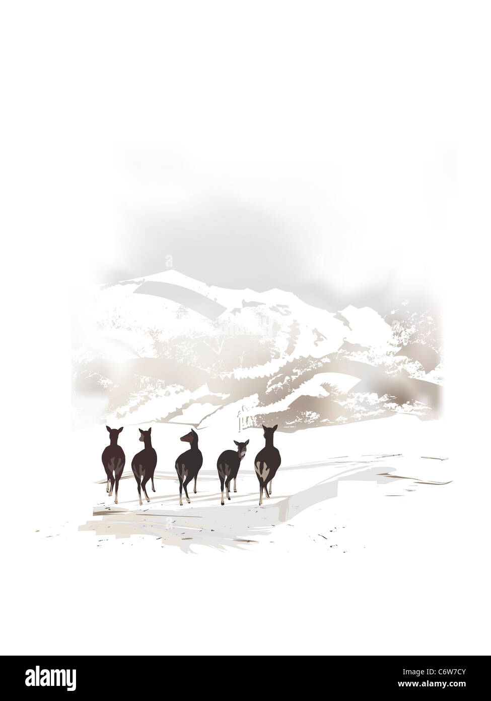 Winter frost mountain trees Cut Out Stock Images & Pictures - Alamy