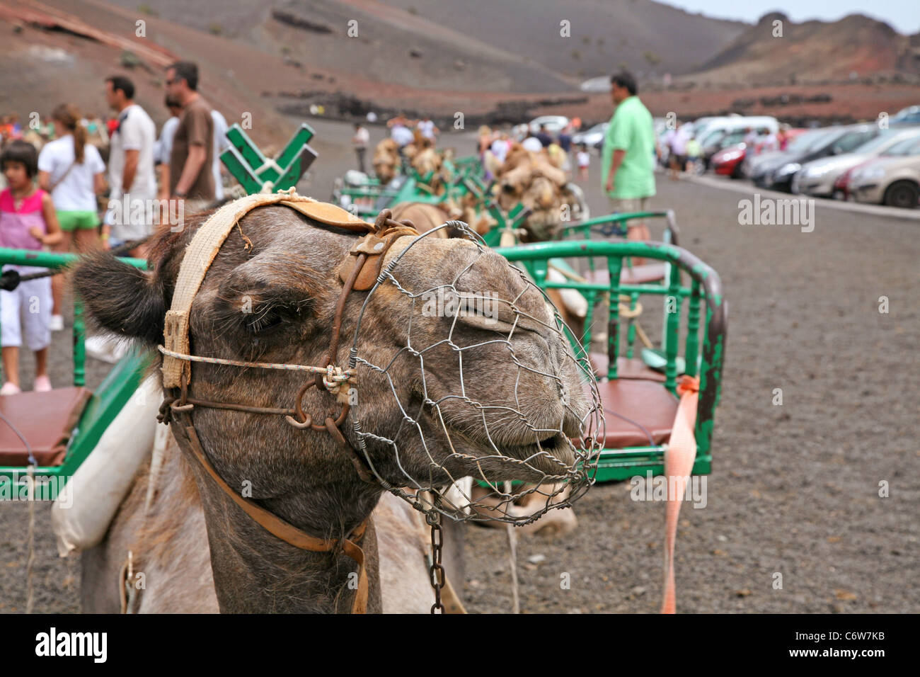 Riding tourist attraction tourism hi-res stock photography and images ...