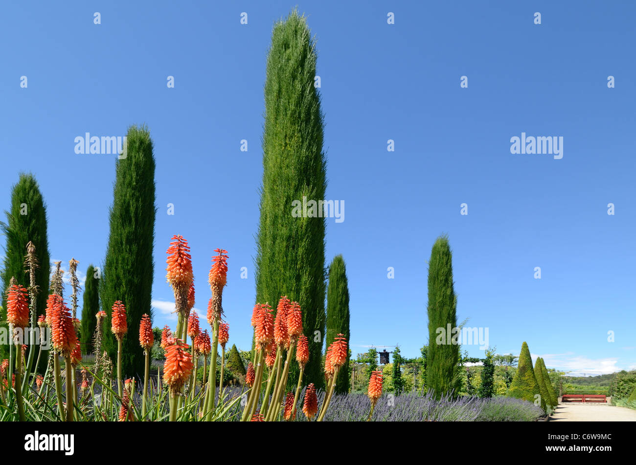 France french cypress trees hi-res stock photography and images - Alamy