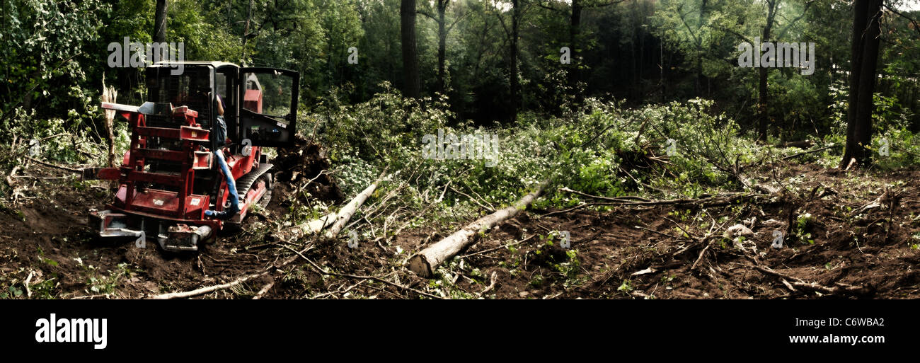 Panorama of Deforestation Stock Photo - Alamy