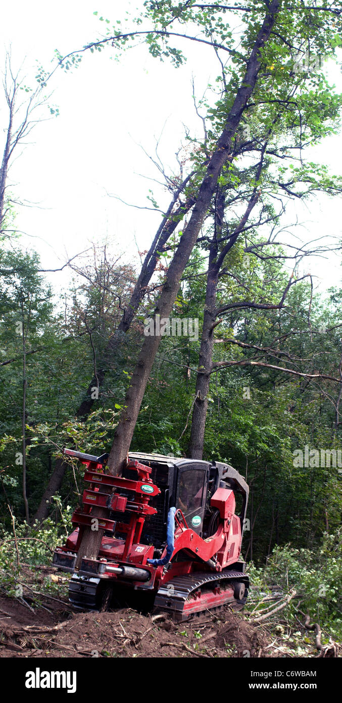 Modern logging operation Stock Photo - Alamy