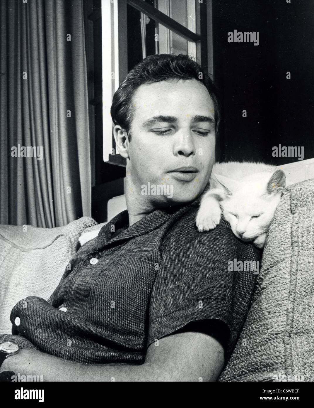 MARLON BRANDO US film actor about 1955 Stock Photo - Alamy