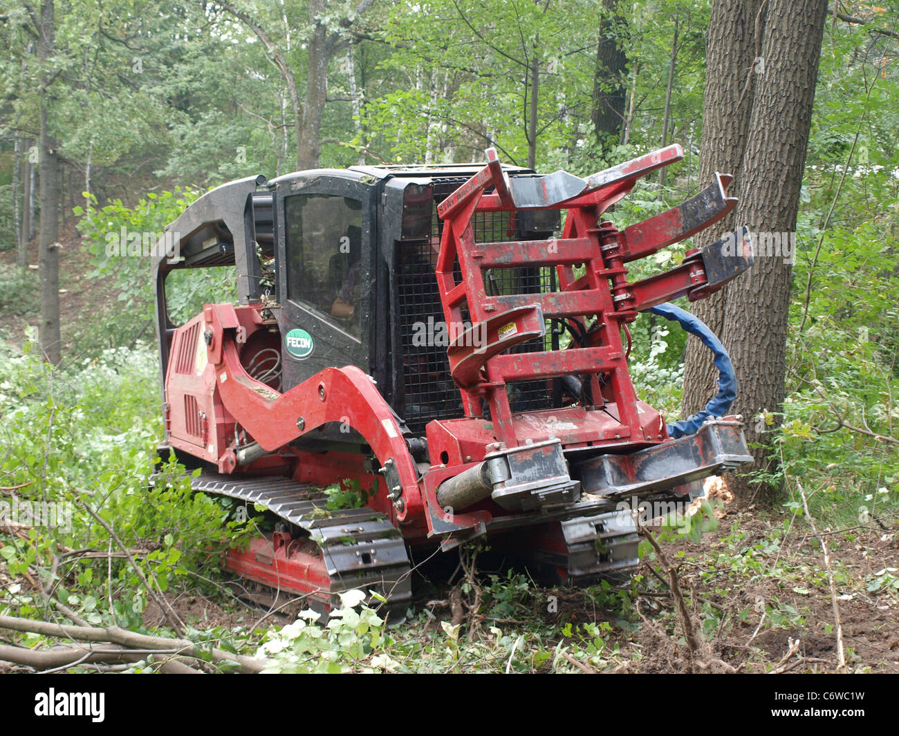 Cutting down of trees under highway construction Stock Photo - Alamy
