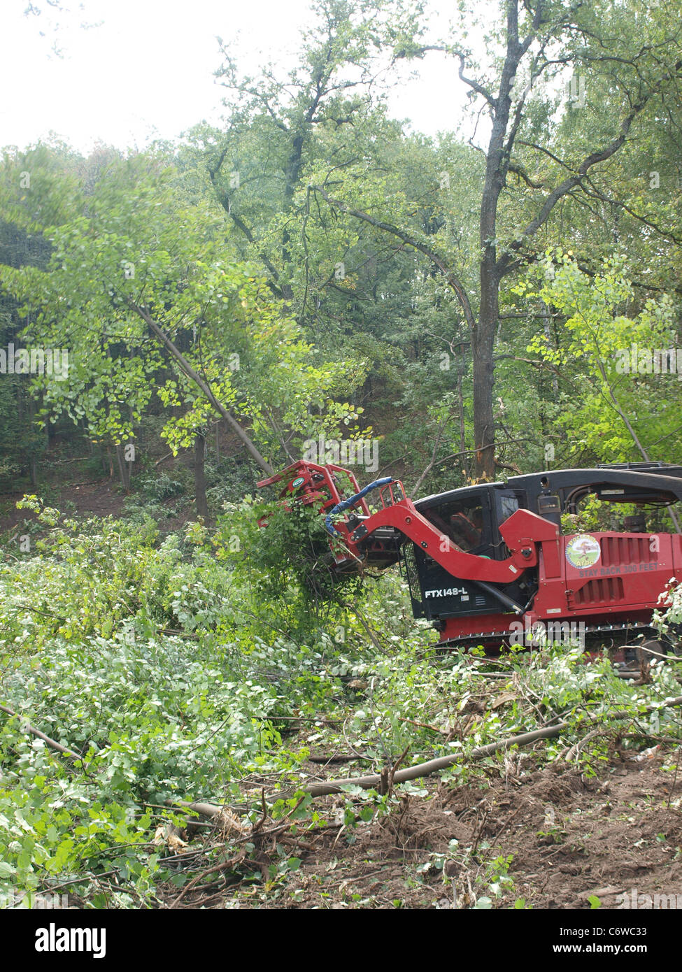 Cutting down of trees under highway construction Stock Photo - Alamy