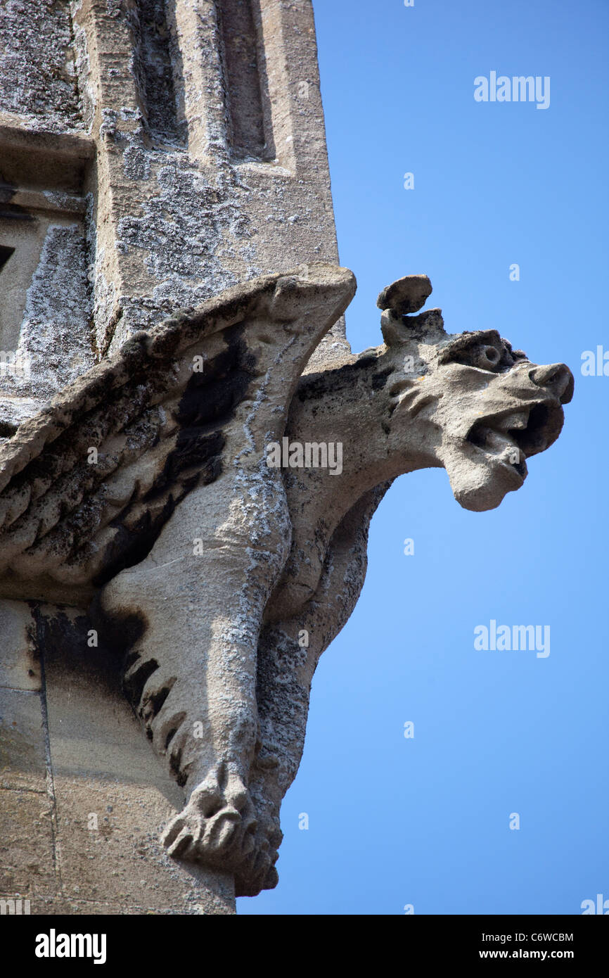 Gargoyle england grotesque hi-res stock photography and images - Alamy