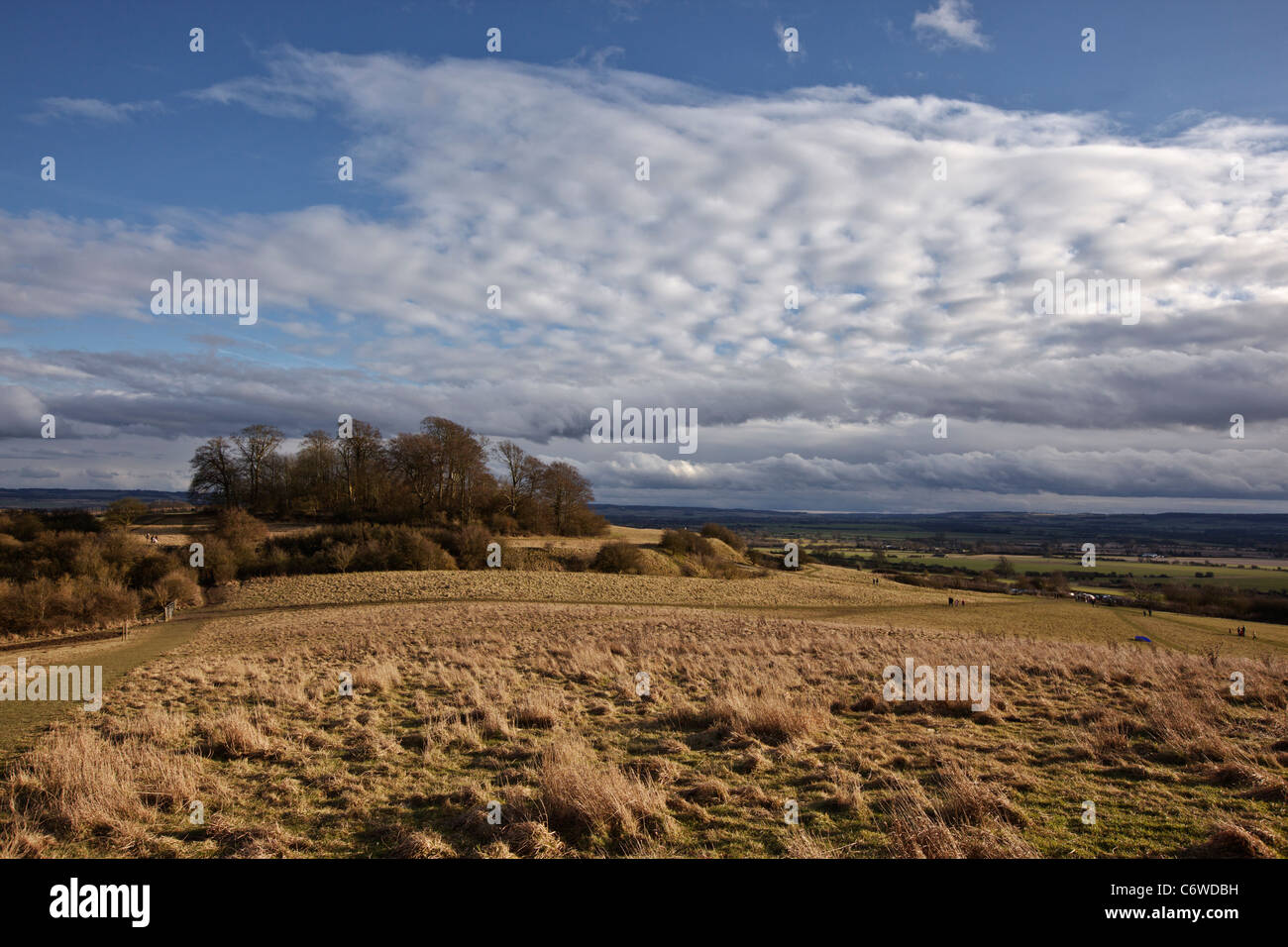 Wittenham clumps hi-res stock photography and images - Alamy