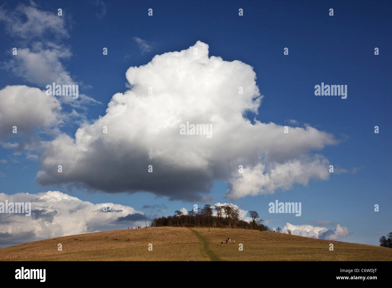 Whittenham Clumps, near Little Wittenham, Oxfordshire, England Stock ...