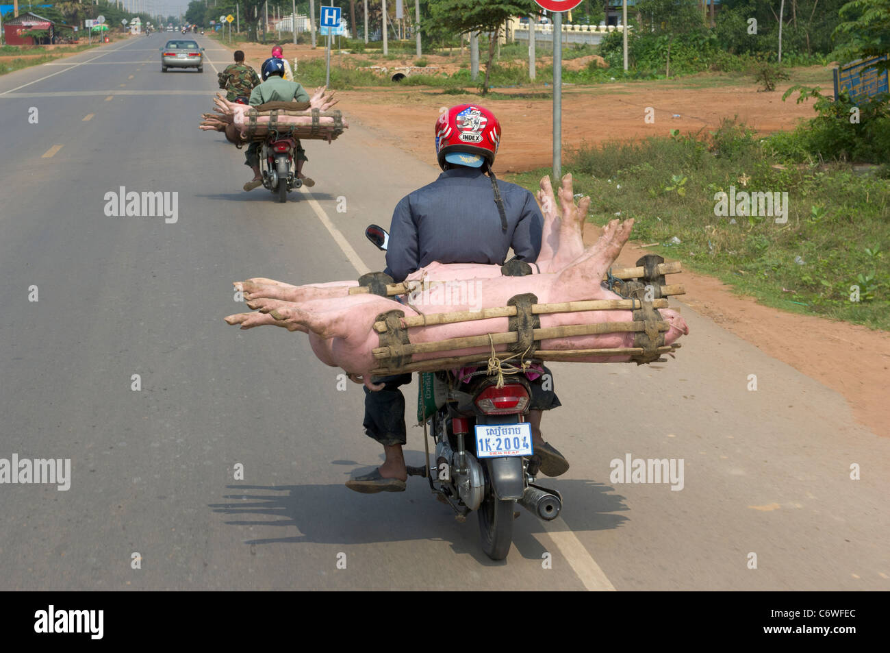 Cambodia pig transportation rural hi-res stock photography and images ...