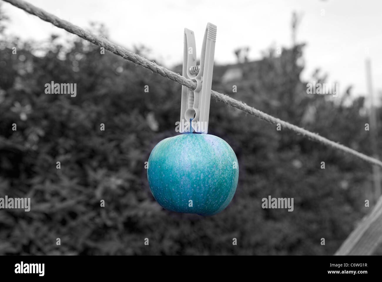 Pop out blue eating apple Stock Photo - Alamy