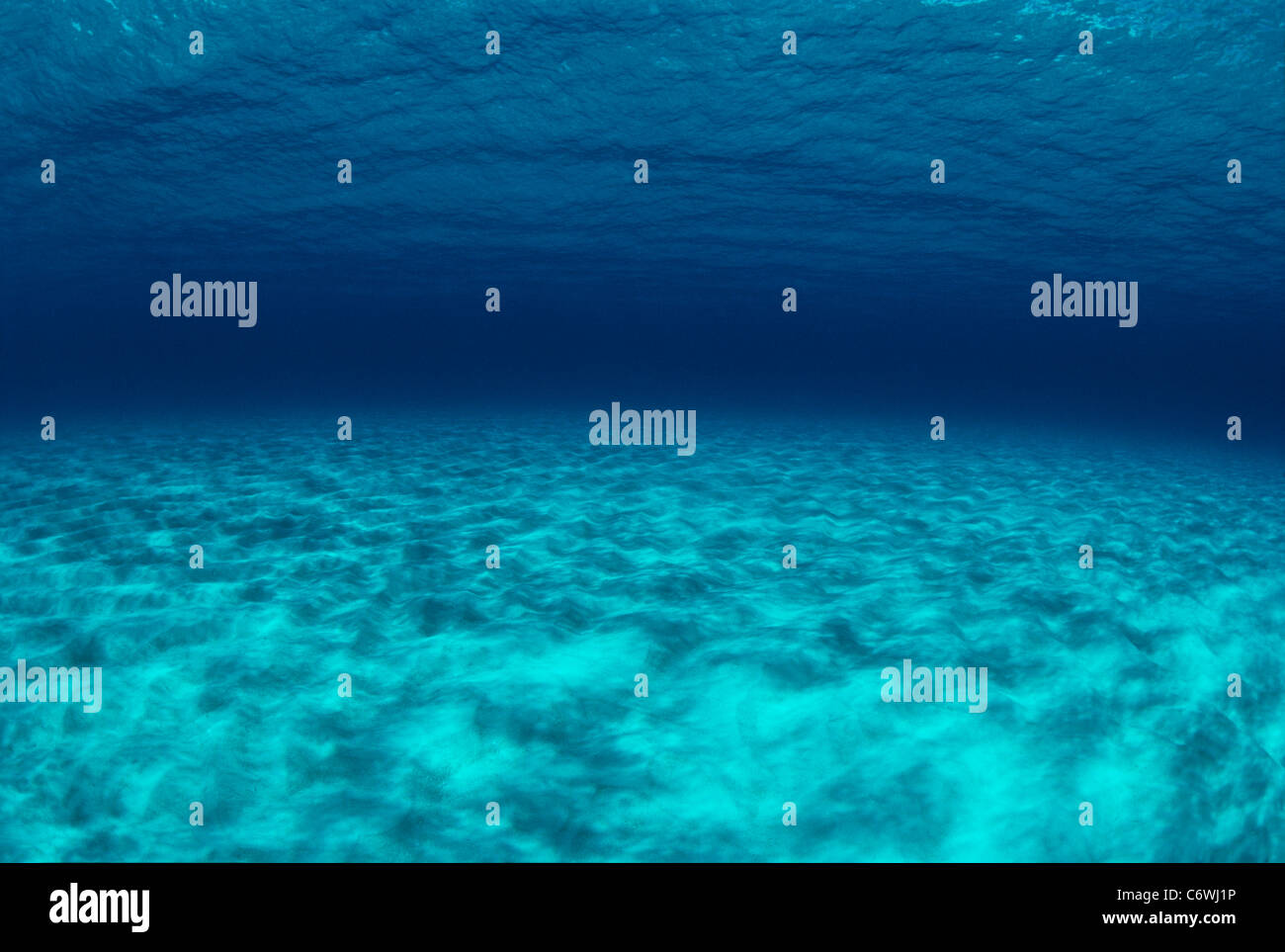 Sand Bottom. Grand Cayman island, Caribbean Sea Stock Photo - Alamy
