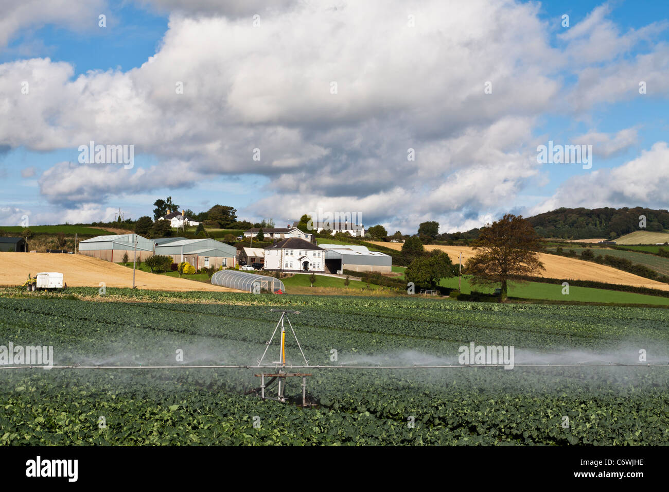 Crop farming northern ireland hi-res stock photography and images - Alamy