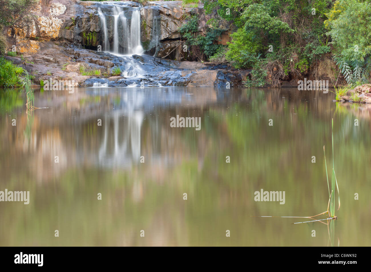 Cascade cascading park asia hi-res stock photography and images - Alamy