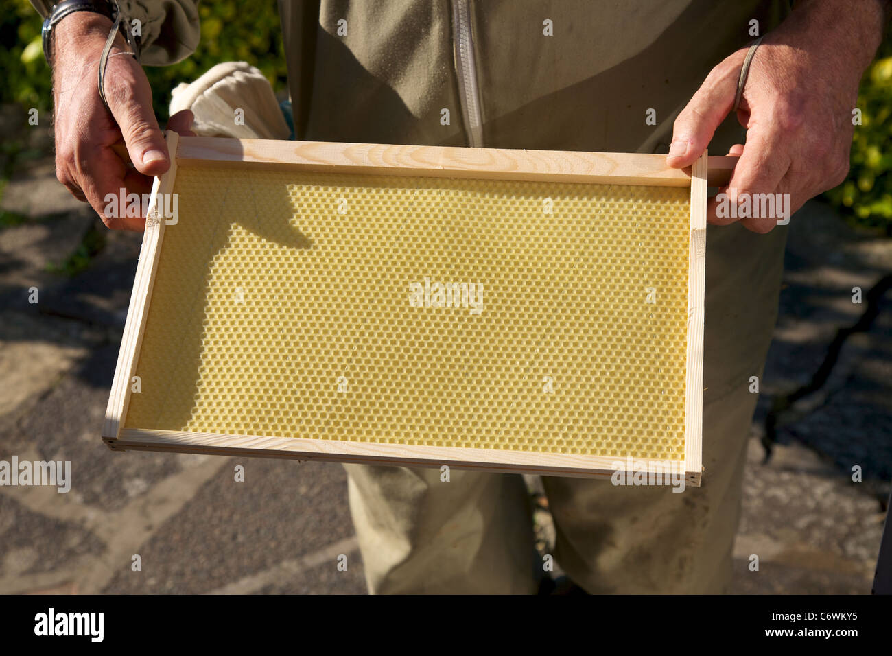Bee Keeper preparing a new hive pollen barrier mesh board for a new bee ...