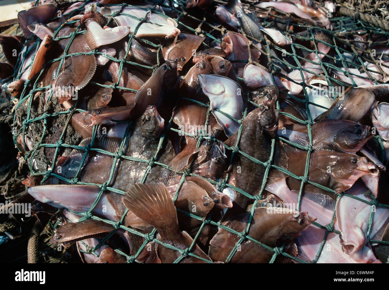 Atlantic ocean winter hi-res stock photography and images - Alamy