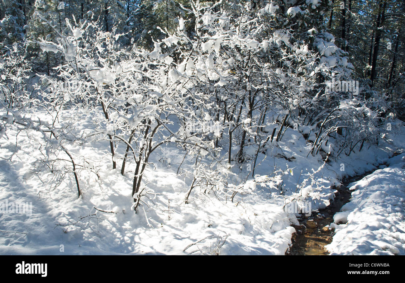 Sierra Ancha Mountains High Resolution Stock Photography and Images - Alamy