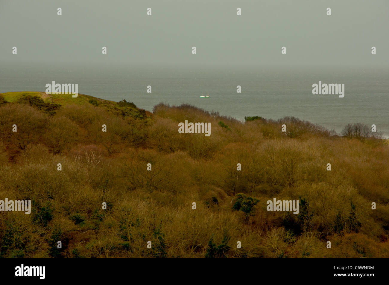 Kelling heath hi-res stock photography and images - Alamy