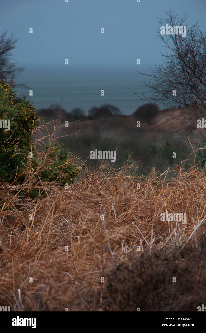 Kelling heath hi-res stock photography and images - Alamy